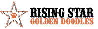 Rising Star Golden Doodles – Rising Star Doodles